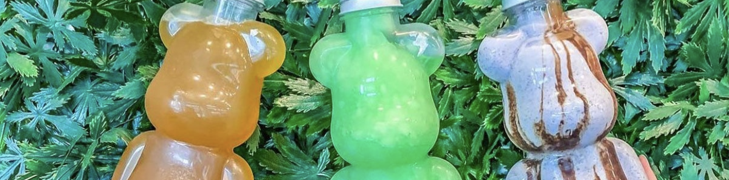 DRIP TEA - Bellevue - Order Online