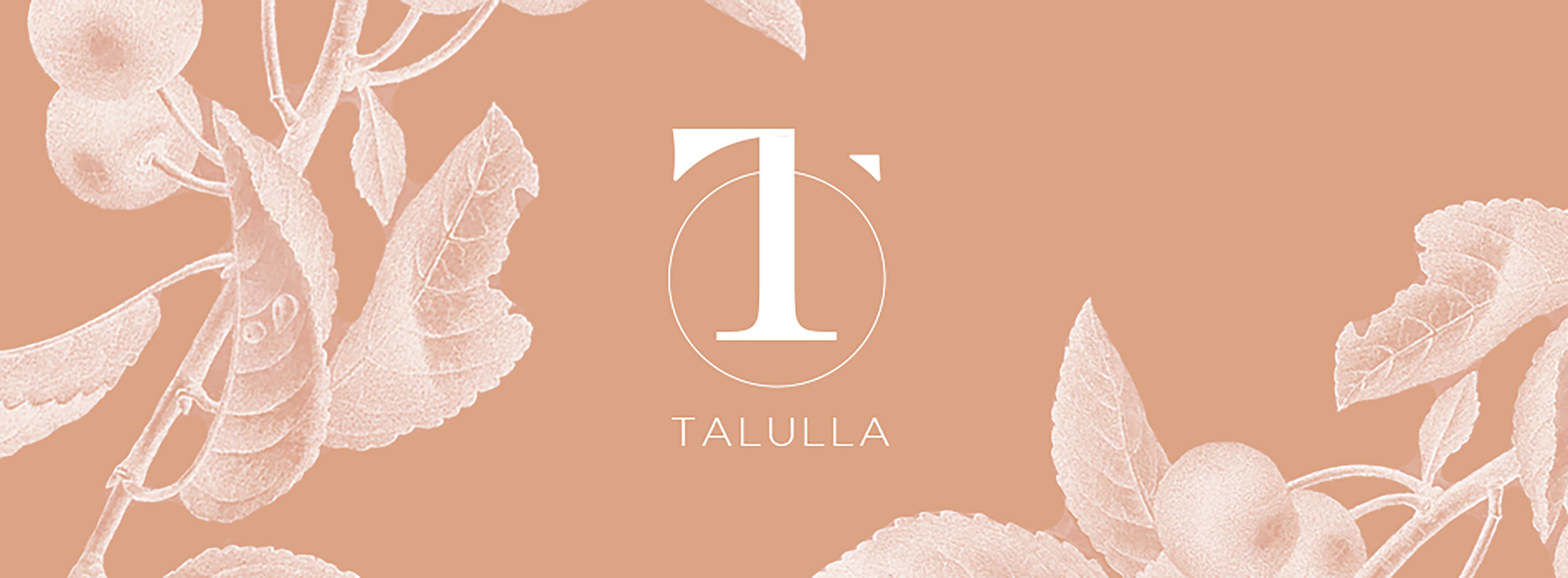 377 Walden Street - Order Online