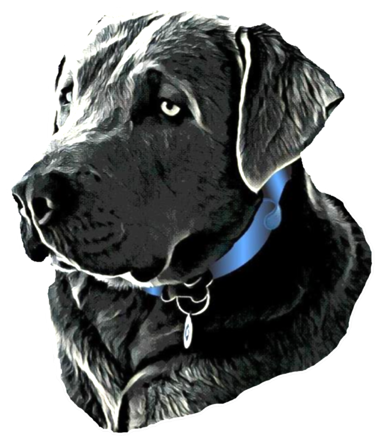 Blue Collar Restaurant, Bar & Catering - NUTS & BERRIES SALAD