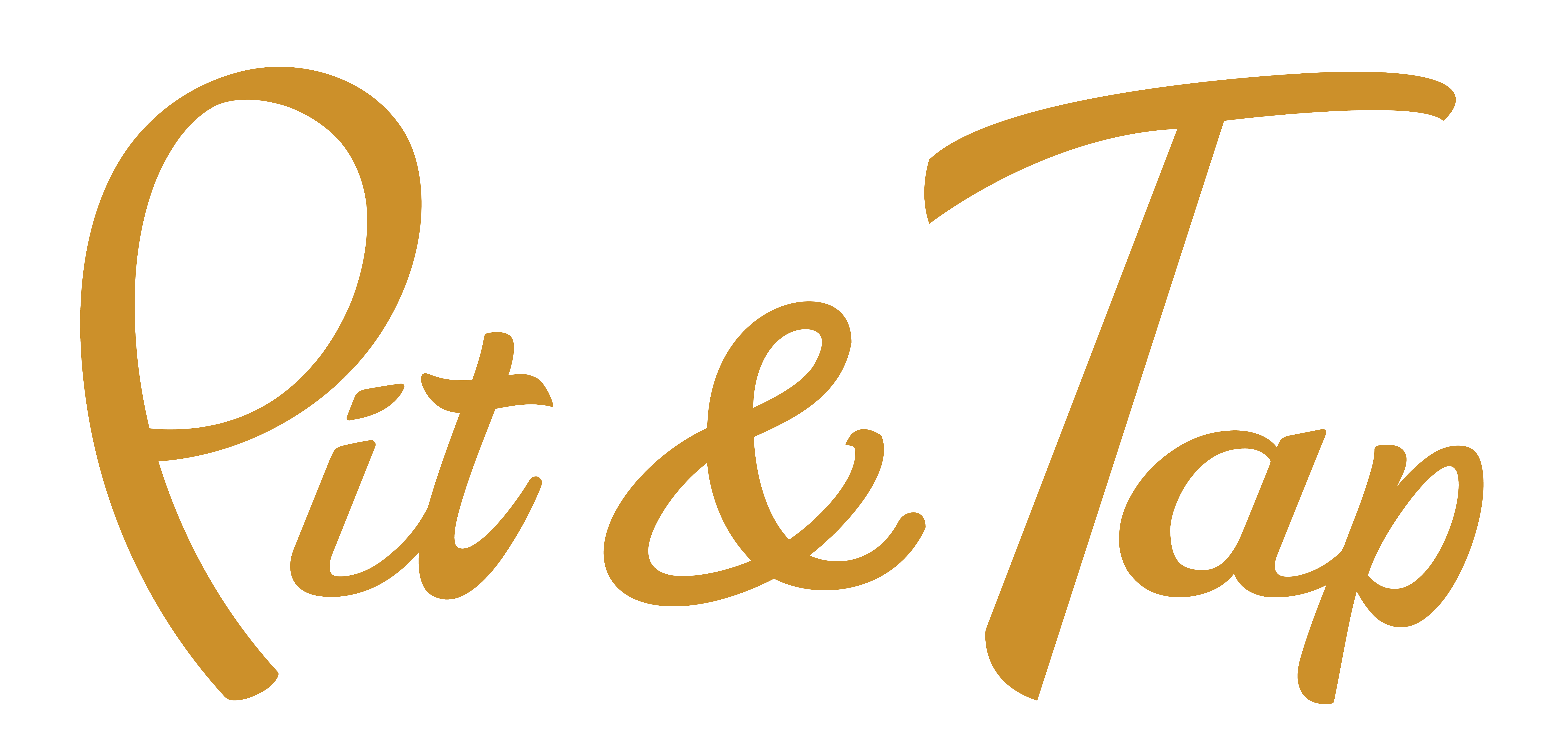 Pit & Tap - Brisket Tacos