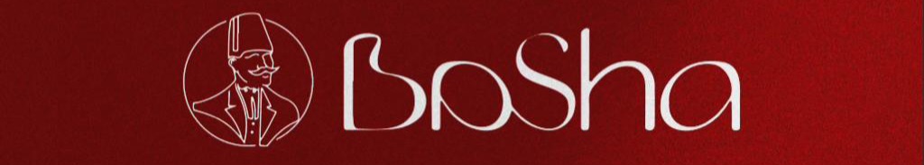 BASHA RESTAURANT - PATERSON - Hummus